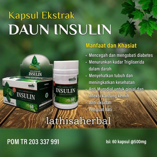 Jual KAPSUL EKSTRAK DAUN INSULIN 60 KAPSUL - INSULIN OBAT DIABETES BPOM ...