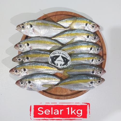 Jual Ikan selar segar | ikan segar laut - Jakarta Utara - mina Jaya ...