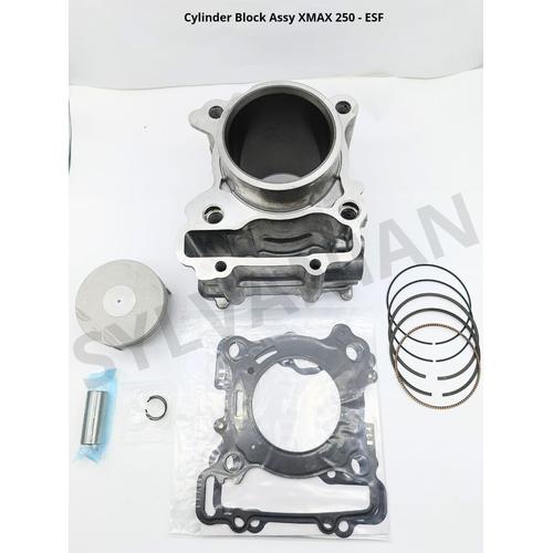 Jual CYLINDER / SILINDER BLOCK ASSY XMAX 250 KOMPLIT - ESF - Jakarta ...