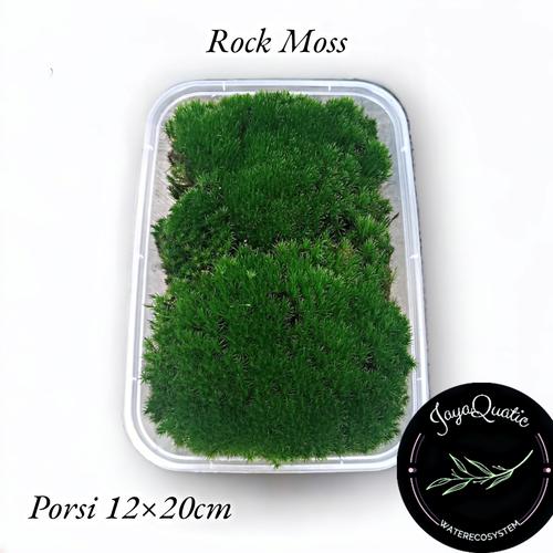 Jual Moss Paludarium Terrarium Vivarium - Rock Moss - Kab. Subang ...