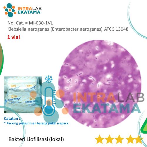 Jual Klebsiella aerogenes (Enterobacter aerogenes), ATCC 13048, 1 vial ...