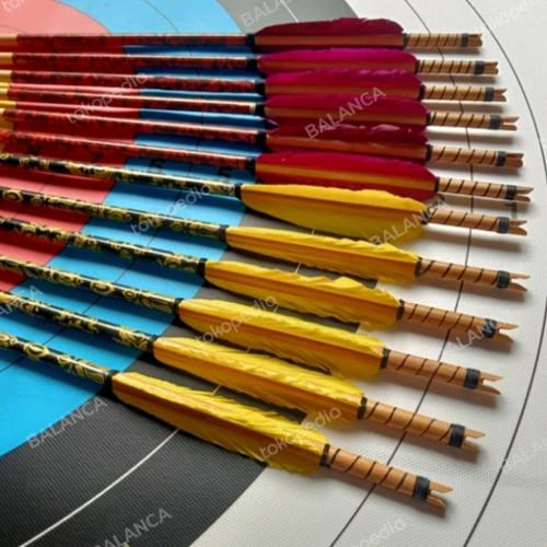 Jual Ramin Arrow kayu Batik Vanes bulu kalkun Lokal - Anak panah - Kota ...