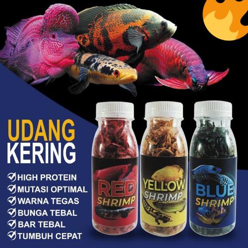 Jual Udang kering blue red yellow / pakan chana / udang kering / pakan ...