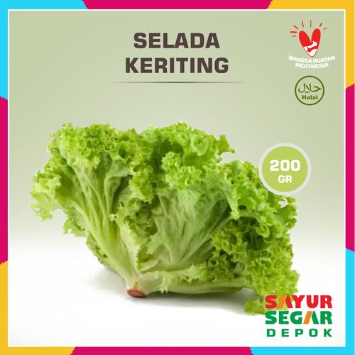 Jual Daun Selada Keriting 200g Curly Lettuce - Selada Keriting - Kota ...