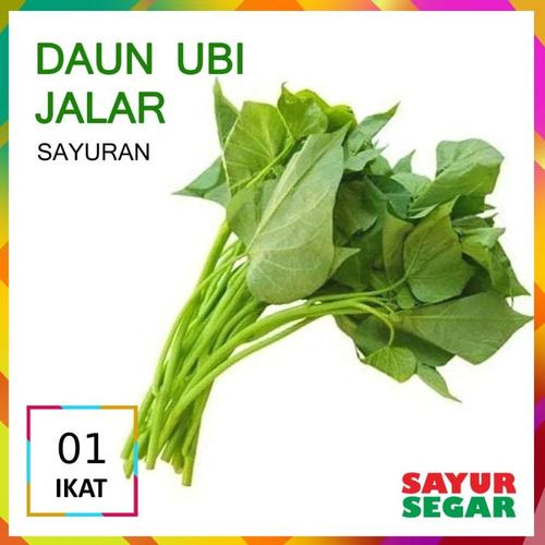 Jual DAUN UBI JALAR -SAYUR [1 Ikat] - Daun Ubi Jalar - Jakarta Selatan ...