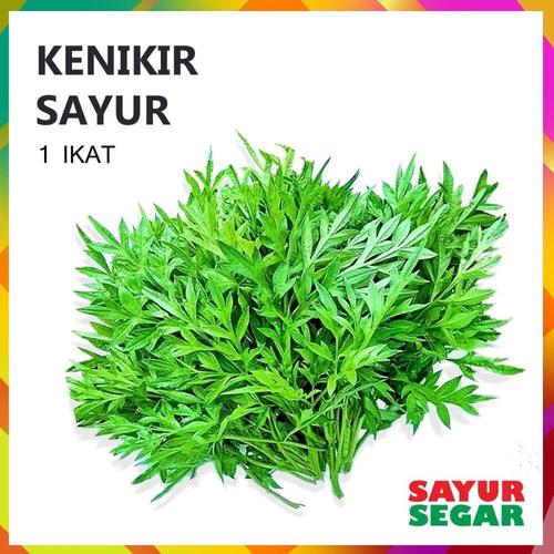 Jual KENIKIR SAYUR - FRESH [1 Ikat] - Daun Kenikir - Jakarta Selatan ...