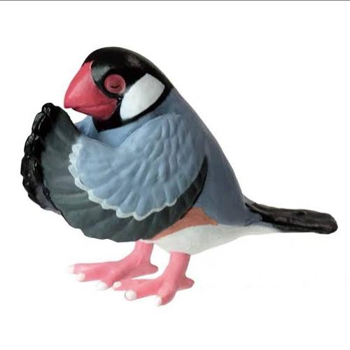 Jual Gashapon gassho praying bird - YELL gachapon gacha - 3. Pigeon ...