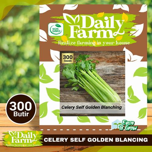 Jual Benih Bibit Sayur Seledri Celery Self Golden Blancing - Daily Farm - Jakarta Timur ...