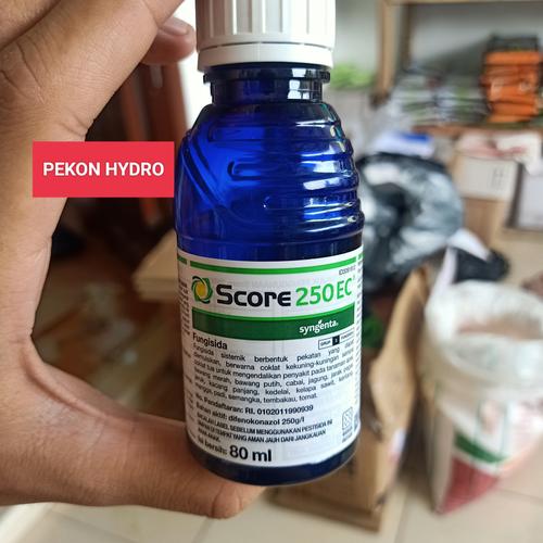 Jual Fungisida Score 250 EC Kemasan 80 ml - Kota Bandar Lampung - Pekon ...