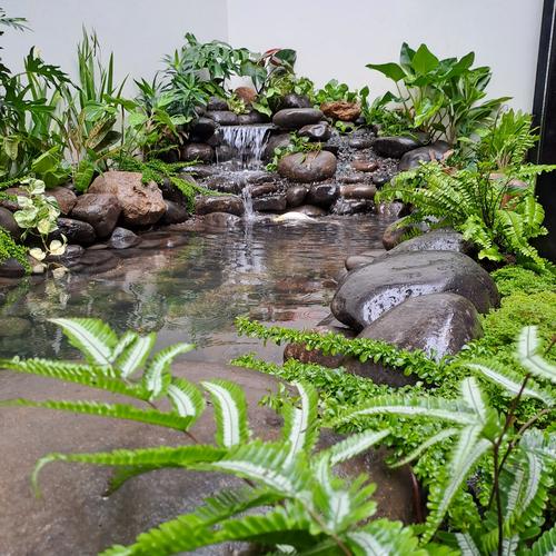 Jual kolam ikan natural batu kali - Jakarta Barat - pesona palnt shop ...