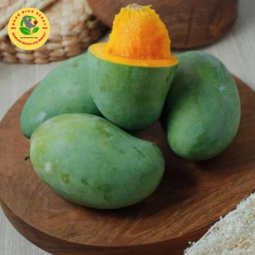 Jual Mangga Harum manis matang pohon / Mangga alpukat / Mangga MP - 1 ...