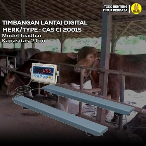 Jual timbangan sapi digital auto hold bisa mengunci hasil timbang kap 2 ...