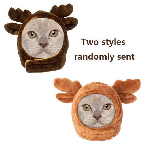 Jual Topi Kucing Anjing Desain Custom Lucu Bahan Kain Halus - Jakarta ...