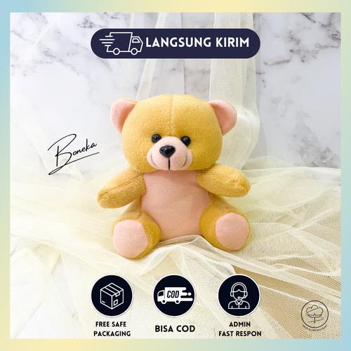 Jual Hadiah Boneka Beruang Bear Doll Kado Ultah Sempro Wisuda Birthday ...