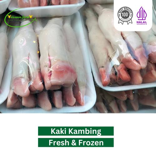 Jual Kaki Kambing Domba Fresh Frozen Sop Kaki Kambing - 2 - Kab. Bogor ...