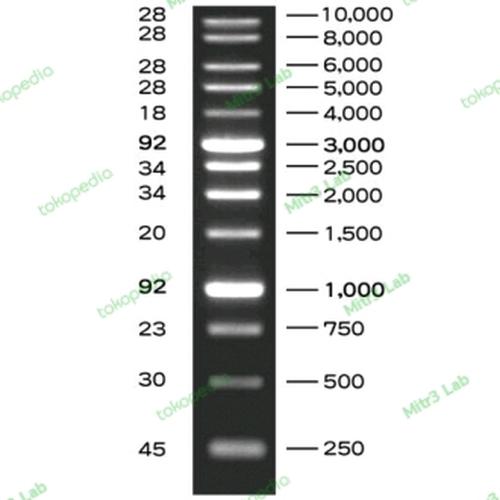 Jual 1 Kb DNA Ladder - Kab. Bogor - Mitr3 Lab | Tokopedia