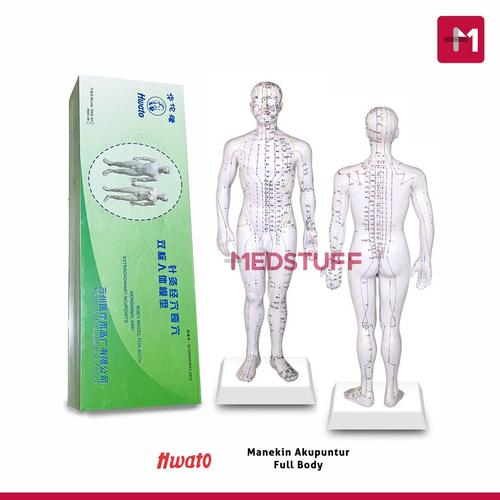 Jual Manekin Body Akupuntur Hwato Manekin Acupuncture Patung Badan ...