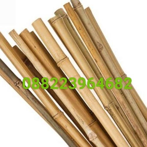 Jual patok bambu pembatas - Kab. Bogor - adon felora | Tokopedia