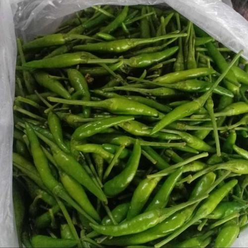 Jual Cabe Rawit Ijo / Cabai Rawit Hijau 1 kg - Kota Tangerang Selatan ...