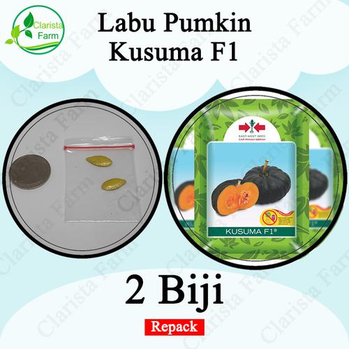 Jual Benih Bibit Labu Pumkin Kusuma F1 Repack Cap Panah Merah - Kota ...