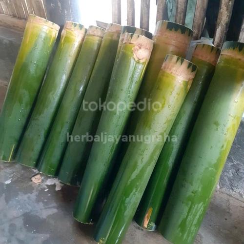 Jual 10 batang bambu untuk lemang - Jakarta Barat - herbaljayanugraha ...