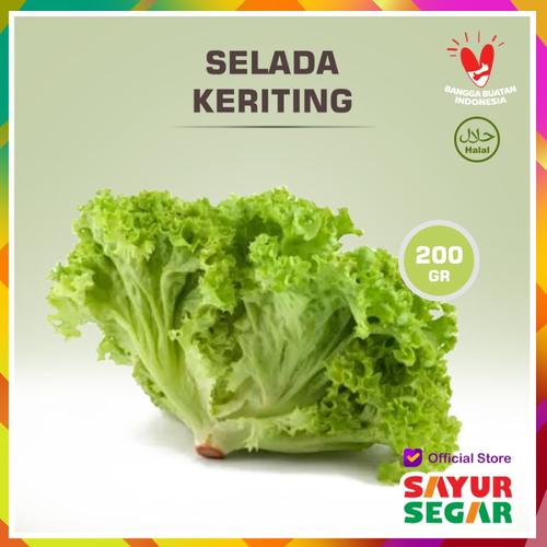 Jual Daun Selada Keriting 200g Curly Lettuce - Selada Keriting - Kota ...