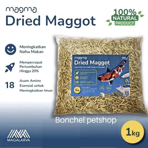 Jual Dried Maggot BSF LARVA Kering Organic Finemaggs kemasan Hemat ...