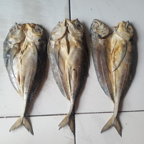 Jual ikan asin Tengkek belah fresh. - 1 kg - Jakarta Barat - Sayuran ...