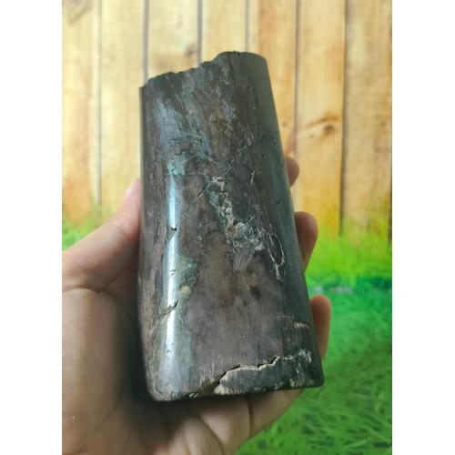 Jual Natural Rough Fossil Kayu (petrified wood) (1) - Jakarta Barat ...