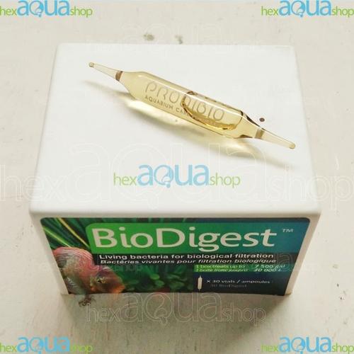 Jual Bakteri BioDigest 1 box - bakteri starter - bacteri - prodibio ...