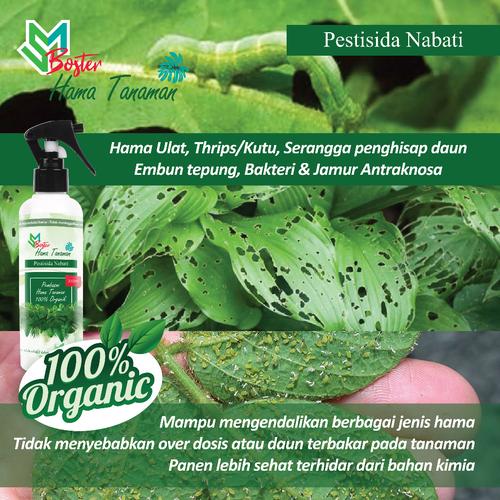 Jual Pestisida Nabati Obat Hama Tanaman Kutu putih, Ulat Daun, 250ML ...