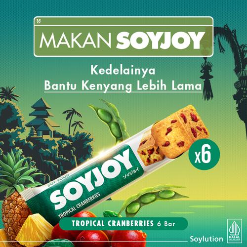 Promo SOYJOY Snack Bar Kedelai Tropical Cranberries isi 6 Bar - Jakarta ...