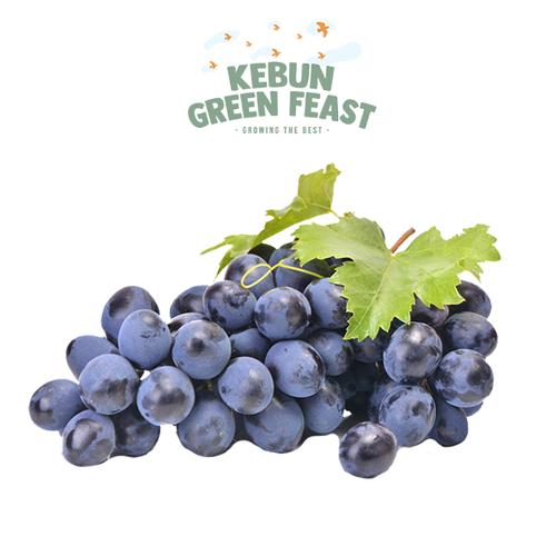 Jual Anggur Hitam Seedless - Fresh Import - Grape - Buah Anggur Segar ...