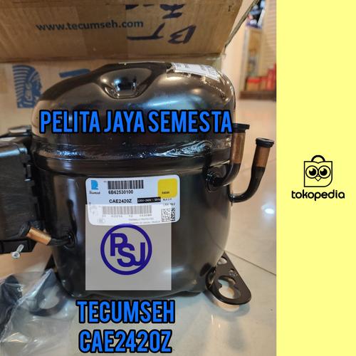 Jual Kompresor Tecumseh CAE2420Z / Compressor Tecumseh CAE2420Z ...