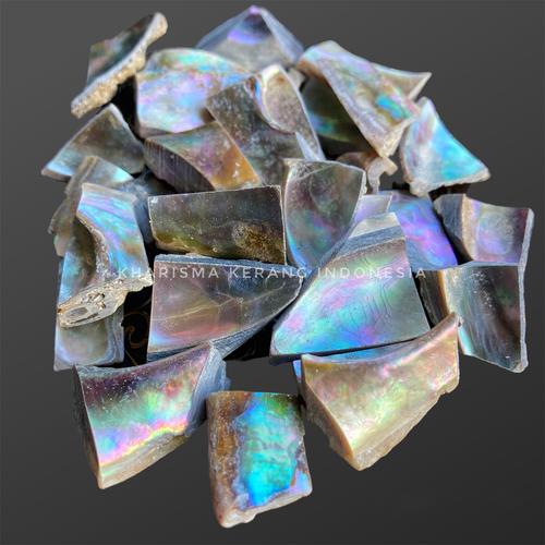 Jual Crushed Abalone Shell 100gram Pecahan Kerang Abalon by Kharisma ...
