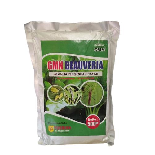 Jual Pengendali Hama Alami Original Beauveria Bassiana, Obat Pembasmi ...