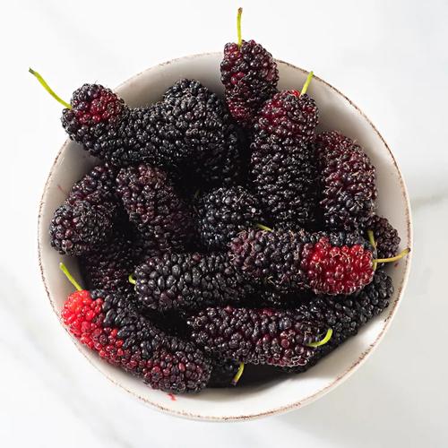 Jual Mulberry Frozen 1kg IQF - Kota Denpasar - Bali Berjaya_NEW | Tokopedia
