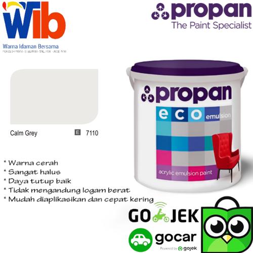 Jual PROPAN ECO EMULSION CALM GREY 7110 - 5KG INTERIOR - Kota Bekasi ...