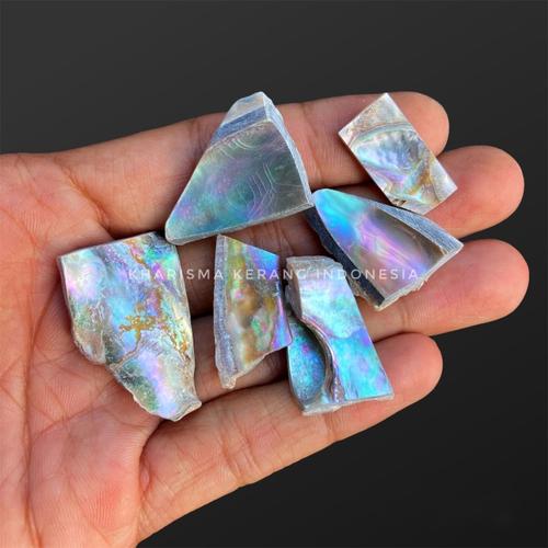 Jual Crushed Abalone Shell 250gram Pecahan Kerang Abalon by Kharisma ...