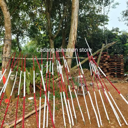 Jual TIANG BAMBU UNTUK BENDERA - Kota Depok - ladang tanaman store ...