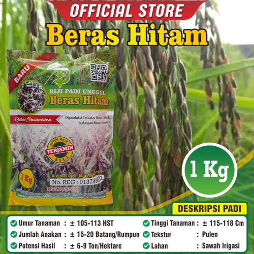 Jual Padi Beras Hitam / Biji Padi Beras Hitam Kemasan 1 Kilogram ...