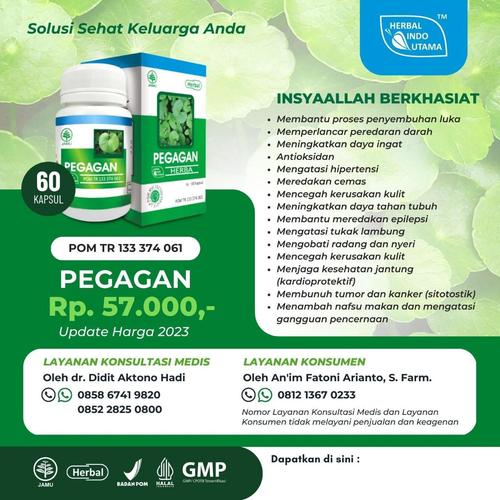 Jual DAUN PEGAGAN/ANTANAN EKSTRAK 60 Kapsul Herbal Indo Utama - Kab ...