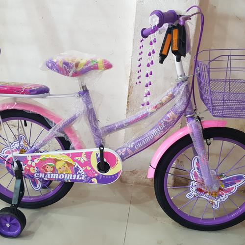 Jual Sepeda Anak Sepeda Mini 18 inch CHAMOMILE ( STRAWBERRY ) ( WARNA ...