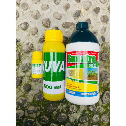 Jual Herbisida paket CONVEY 336SC dari BASF - 500ml - Kab. Kediri - Ud ...