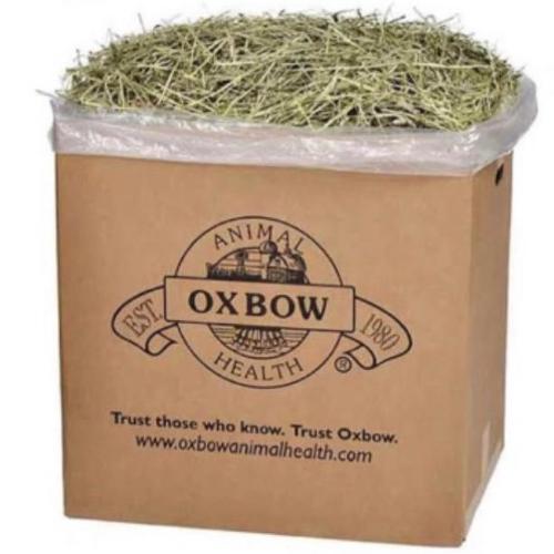 Jual Oxbow Timothy Hay Repack Second Cut Original kemasan 1kg - Kota ...