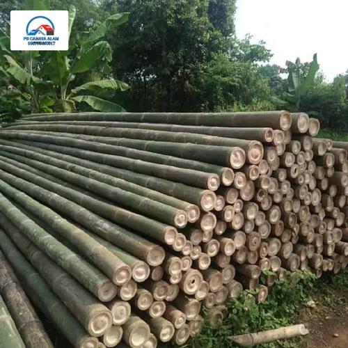 Jual Bambu tiang ukuran 10cm - Kota Tangerang Selatan - PD CAHAYA ALAM ...
