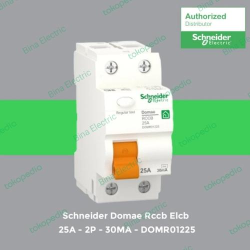 Jual ELCB / RCCB Domae Schneider 2P 25A 30mA DOMR01225 - Jakarta Pusat - Bina Electric | Tokopedia