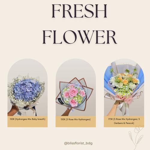 Jual buket hydrangea asli / bouquet wisuda / bucket mawar segar ...