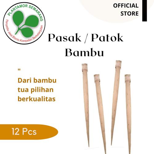 Jual Pasak Bambu / Patok Bambu / Pancuh Bambu / Media Tanam - Kota ...