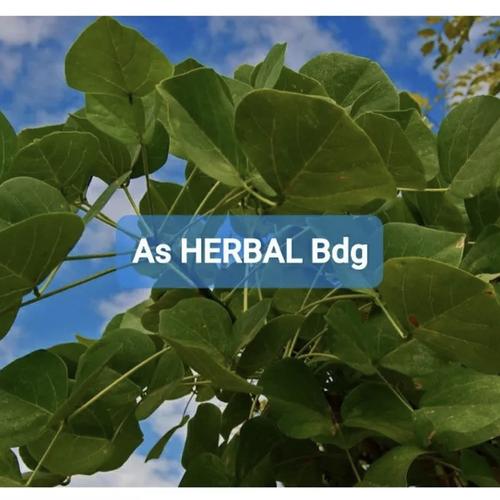 Jual Daun Dadap Serep Segar 1 Kg - GRATIS Stek Batang pohon dadap - Kab ...